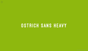 20 Free Fonts for Professional Web Design